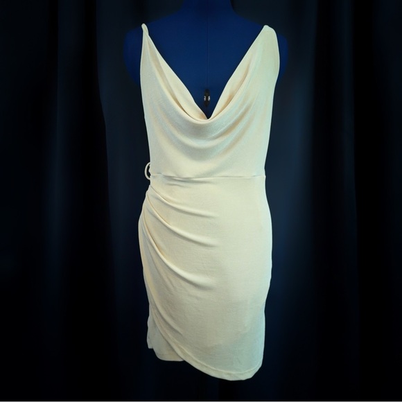 Mable | Dresses | Anthropologie Mable Cowl Neck Bodycon Mini Dress M ...